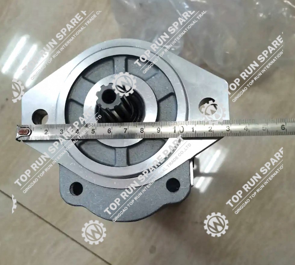 Hydraulic pump 1010000281
