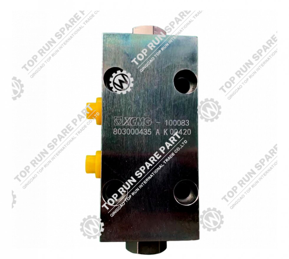 Two way Lock Hydraulic valve 803000435