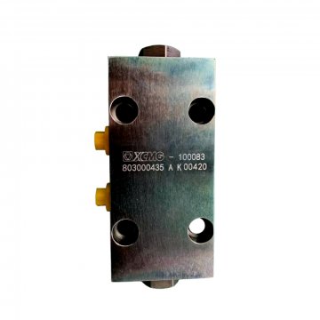 Two way Lock Hydraulic valve 803000435