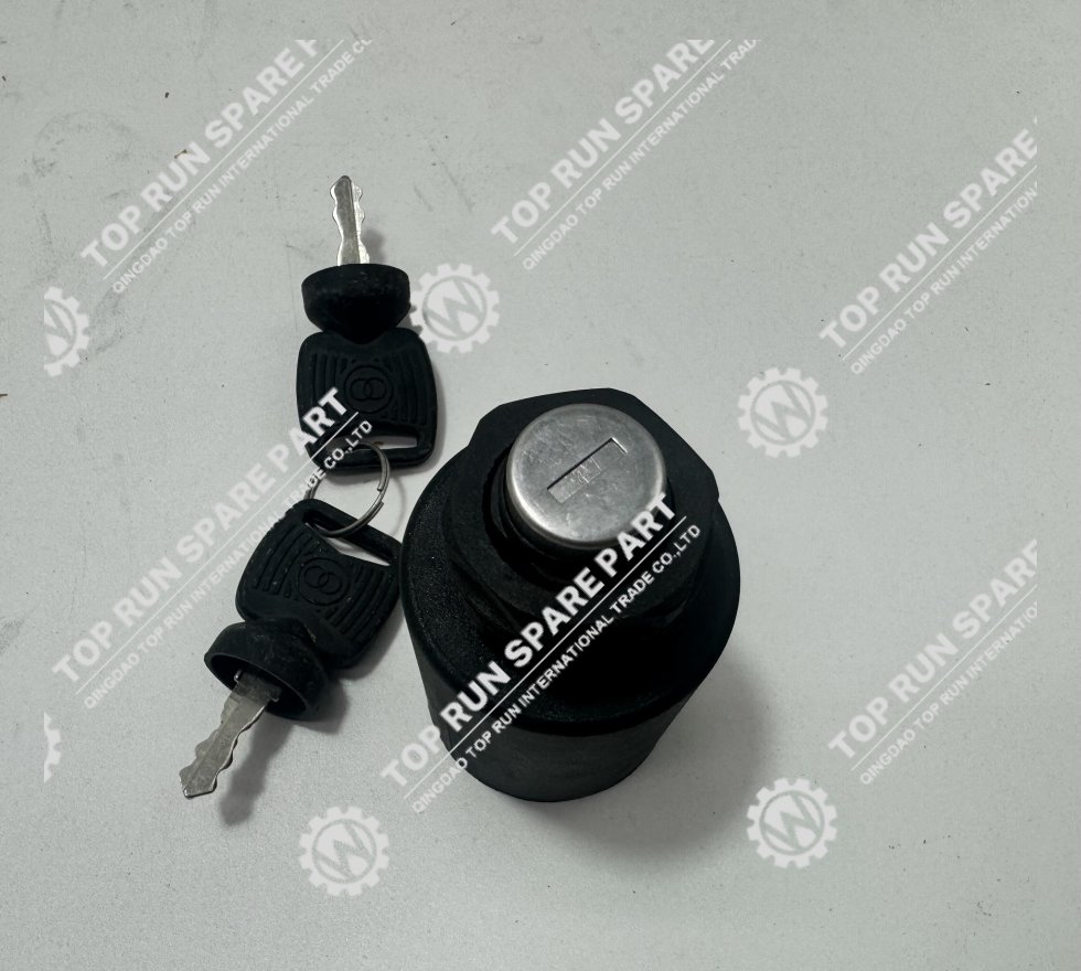 Switch GP Key 60020397 for SANY truck crane parts